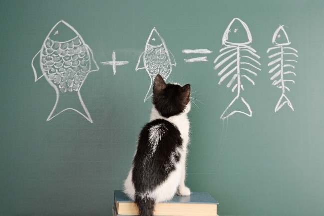 cat-doing-maths – Romy's Website